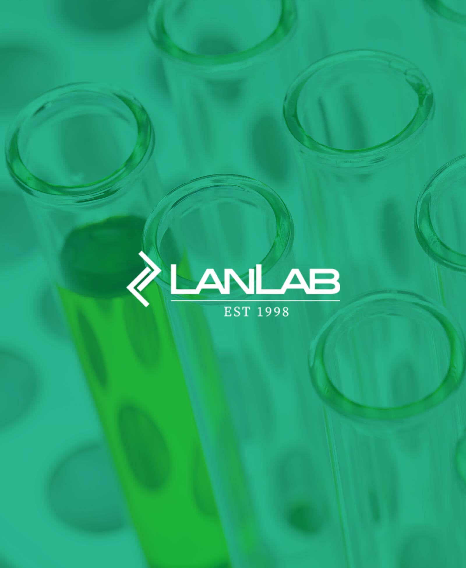 LanLab – OCTA digiagentuur